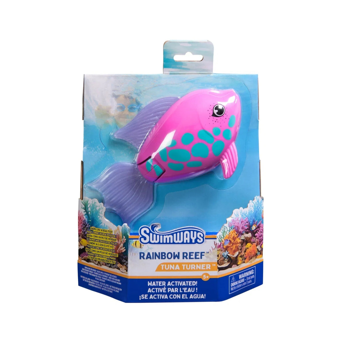 Rainbow Reef Fish - Tina Turner – Kims Kram